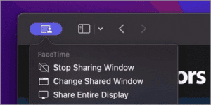 How to Share Screen on FaceTime on Your Mac, iPhone or iPad