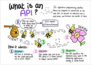 Manual Software Testing Skills Required for Freshers