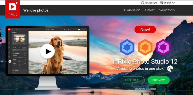 Top 10 Best Graphic Design Software Tools For Beginners