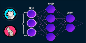 Image Processing Using Python: Algorithms & Tools Tutorial