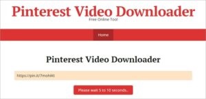 11 Best Pinterest Video Downloader Online Apps and Tools