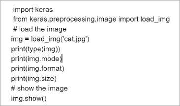 What Is Image Processing: A Complete ML and AI Image Guide