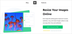 The 14 Best Free Online Image Resizer Tools for Perfect Images (2025)