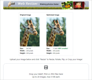 The 14 Best Free Online Image Resizer Tools for Perfect Images (2025)