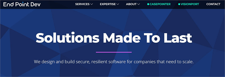 13 Trusted Software Development Companies in the USA (2023)