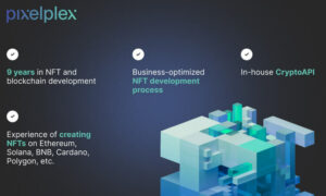 The 12 Best NFT Development Companies in 2025 (Top-Rated)