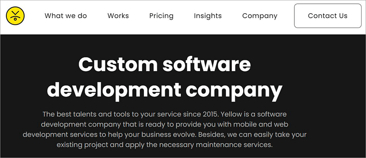 The 14 Trusted Software Development Companies in the USA (2025)