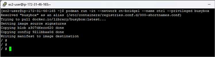 What is Podman? Explore This Docker Alternative