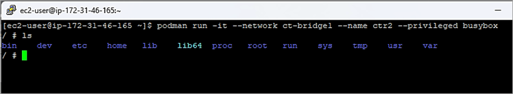 What is Podman? Explore This Docker Alternative