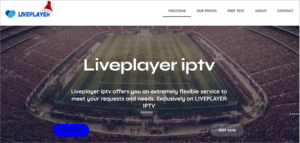 The Top 10 IPTV USA Service Providers of 2025