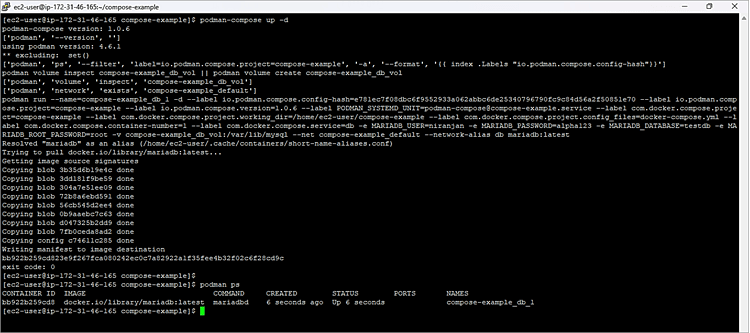 What is Podman? Explore This Docker Alternative