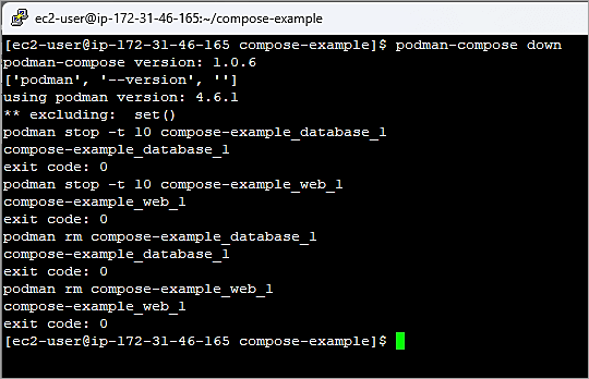 What is Podman? Explore This Docker Alternative