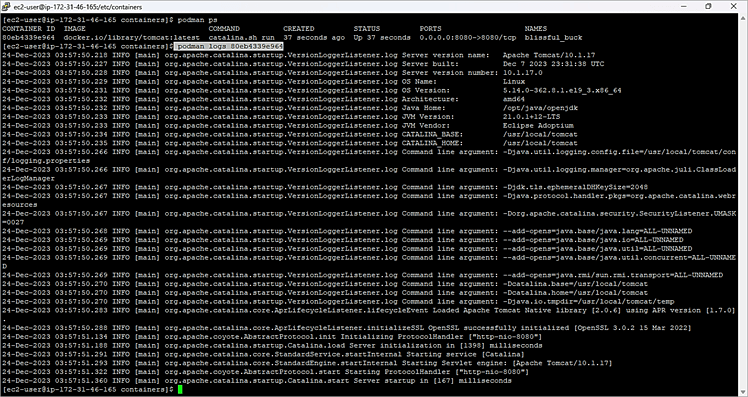 What is Podman? Explore This Docker Alternative