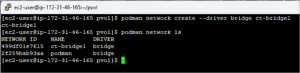 What is Podman? Explore This Docker Alternative