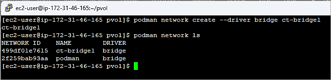 What is Podman? Explore This Docker Alternative