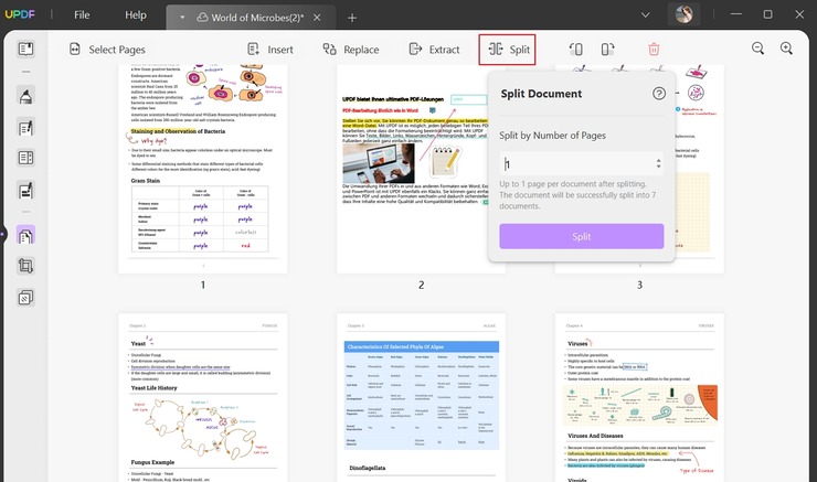 Best Free PDF Splitter For Various Platforms [2025 Updated List]