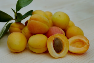 Python Pillow (PIL Fork) Library Image Processing Tutorial