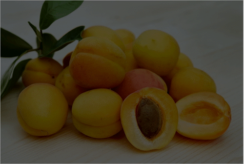 Python Pillow (PIL Fork) Library Image Processing Tutorial