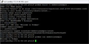 What is Podman? Explore This Docker Alternative
