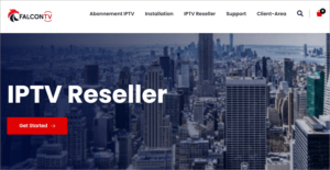 Best IPTV Reseller Panel Providers for High Profits in 2025