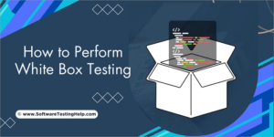 White Box Testing: Types, Techniques, Tools with Example