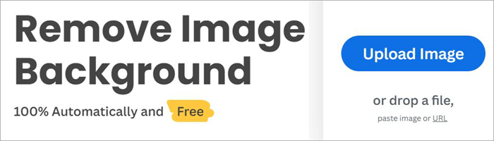 How to Remove Background From Image Using Image Background Remover Tools