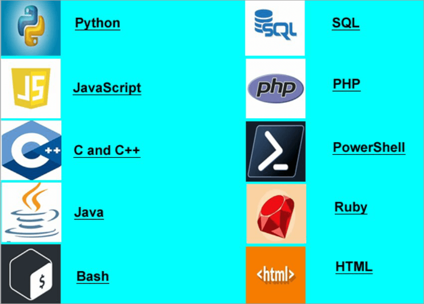 Top 10 Programming Languages for Cybersecurity Jobs