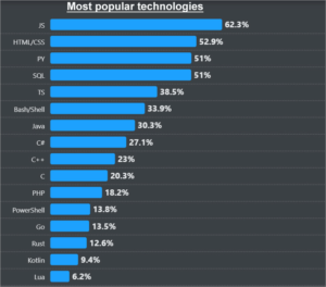 Top 10 Programming Languages for Cybersecurity Jobs